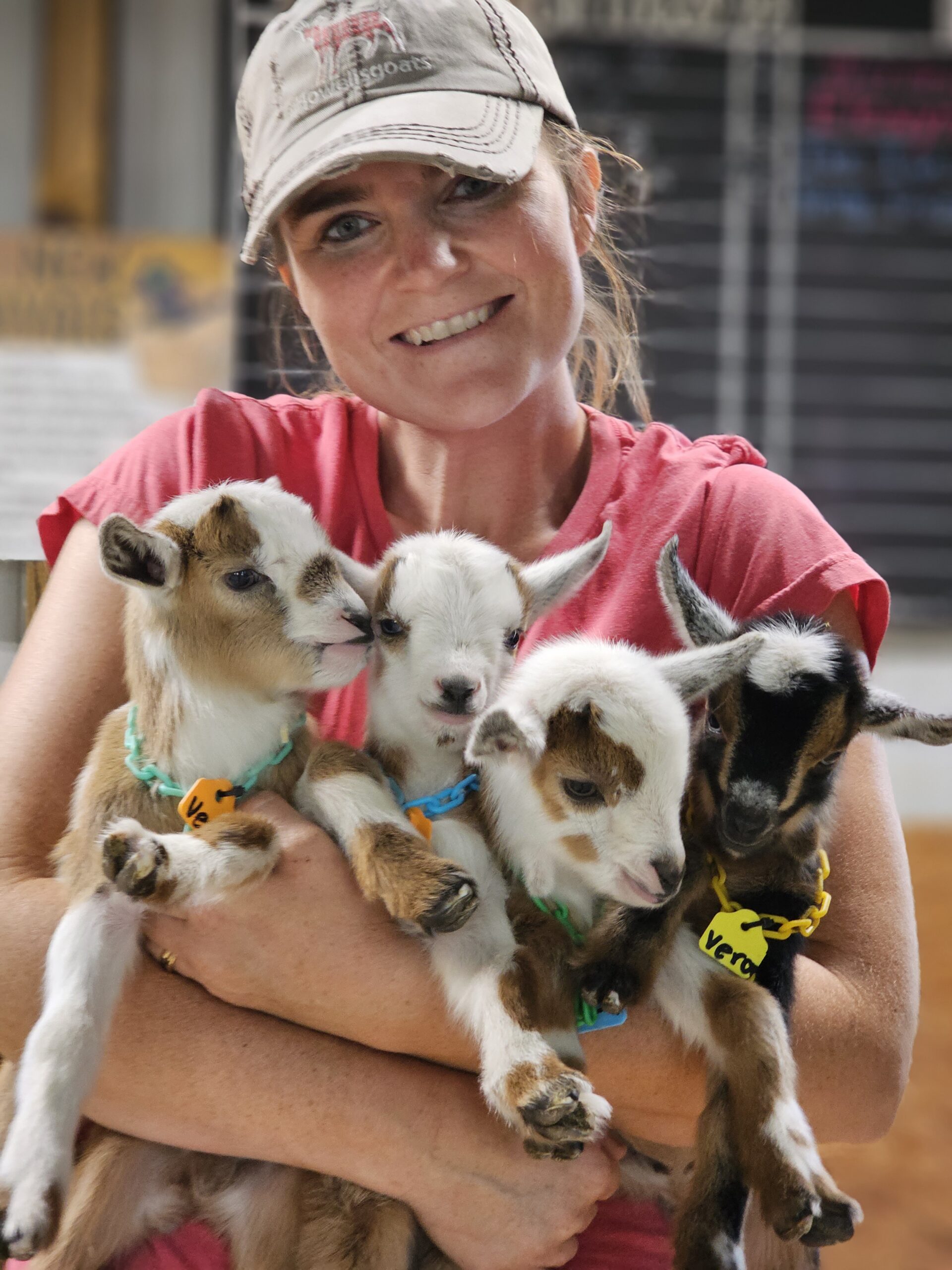 Twin Goat Surprise & Goat Cuddling at Howell’s Farm