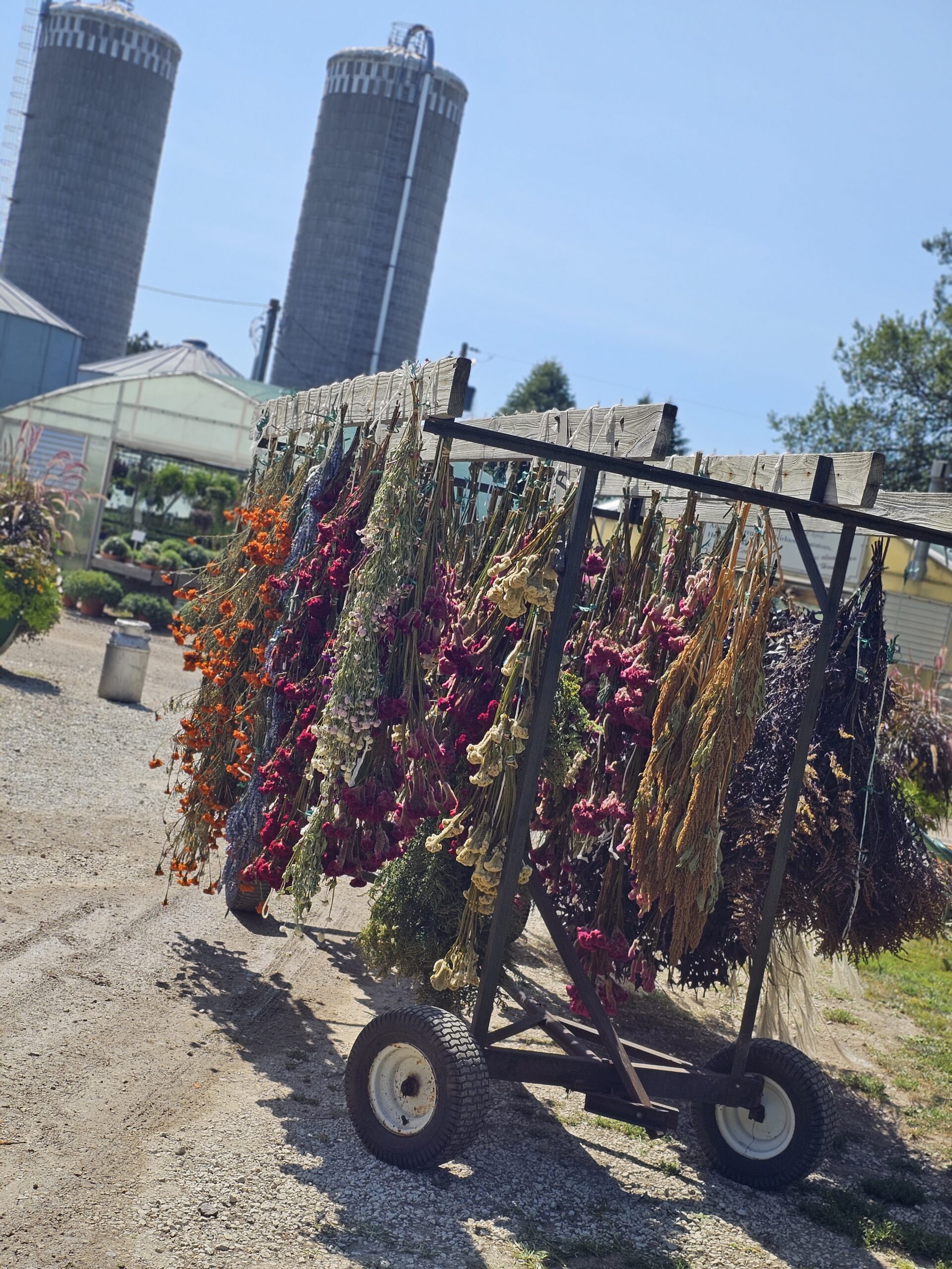 Dried Florals for Home Decor in Cumming, IA | Howell’s Pumpkin Patch