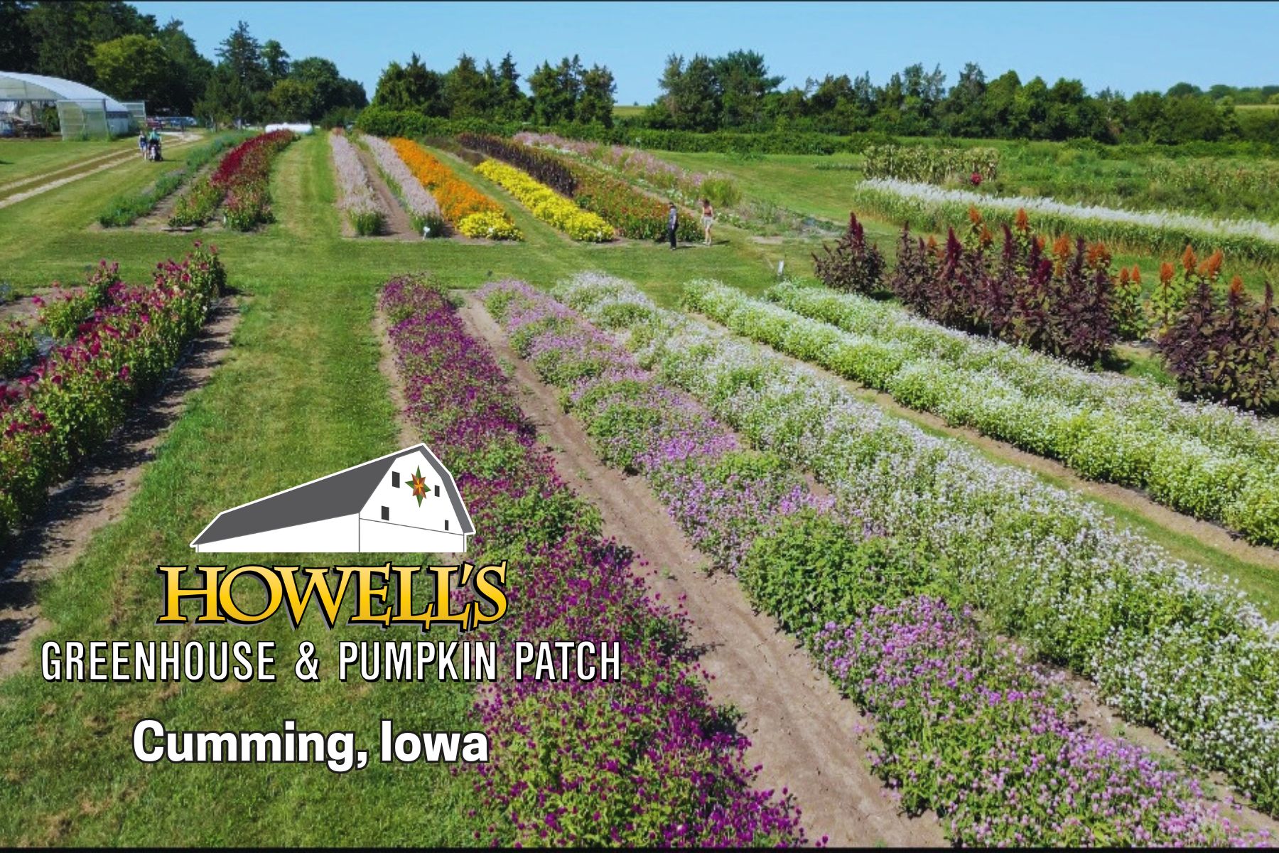 Join the Fun – Events at Howell’s Pumpkin Patch