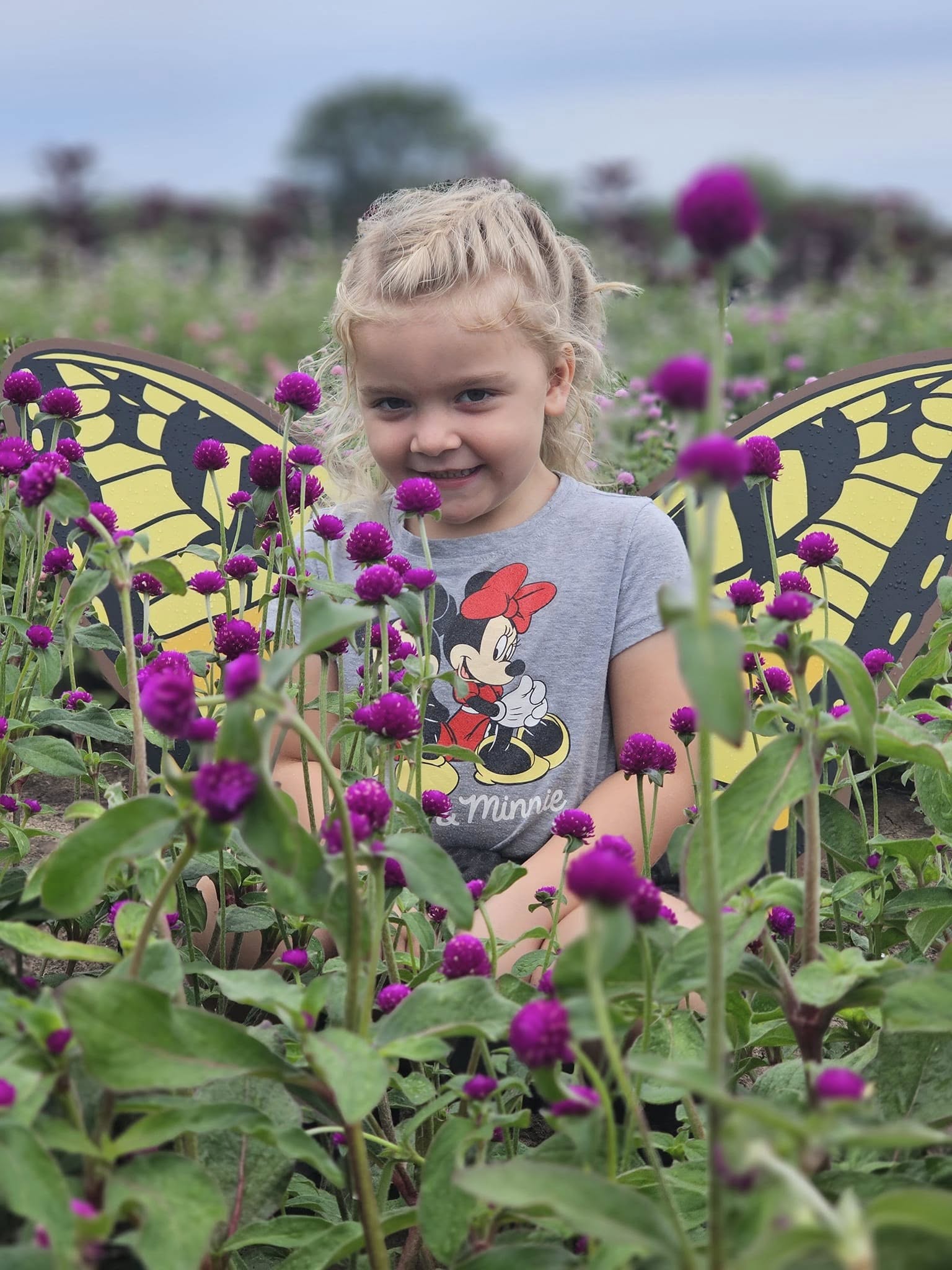 Seasonal Events at Howell's Pumpkin Patch – Cumming, Iowa