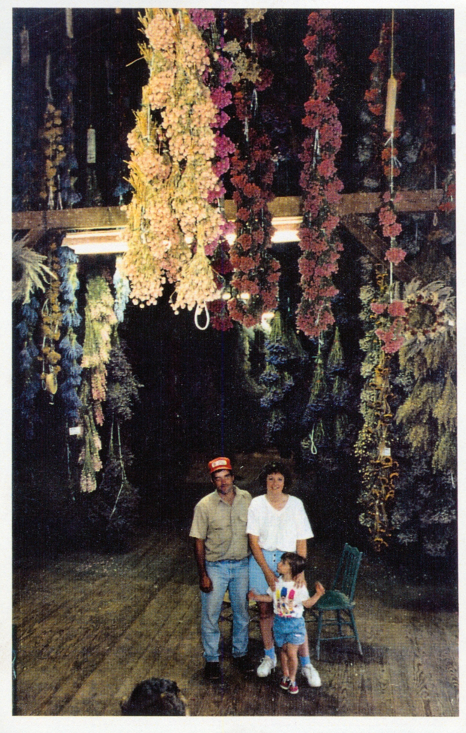 Dried Flowers at Howell's and How it Started - Howell's Greenhouse and ...